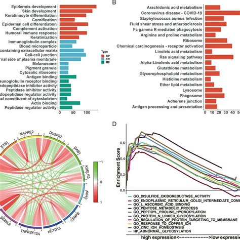 Functional Enrichment Analysis Of ASPHD1 Related DEGs In SKCM A