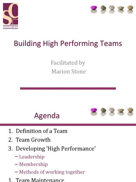 building high performing teams facilitated by marion stone pdf