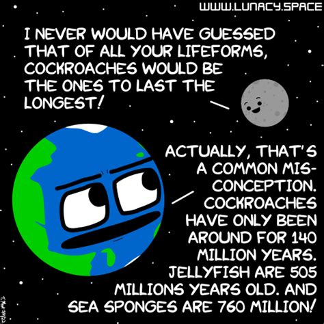 The Impending Cockroach Wars R Dystopianfuture