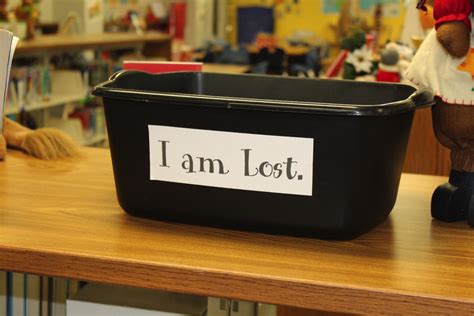 Sorting Tubs For Library Check In Library Learners
