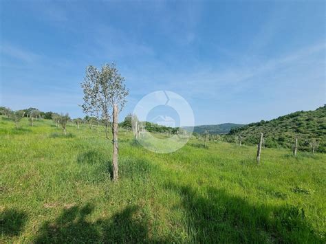 Okolica Buja Više Građevinskih Zemljišta U Ponudi