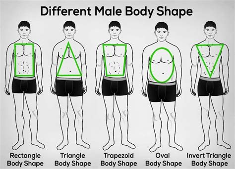 Pin On Rapport Mens Body Types Male Body Shapes Body Shapes