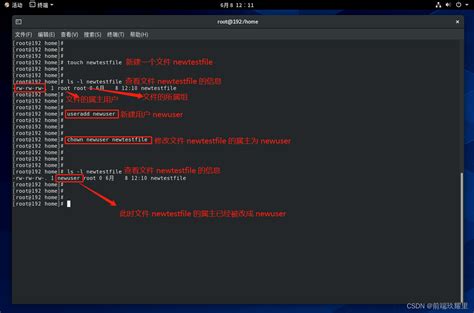 39 【linux教程】修改文件所属关系linux修改文件所属 Csdn博客