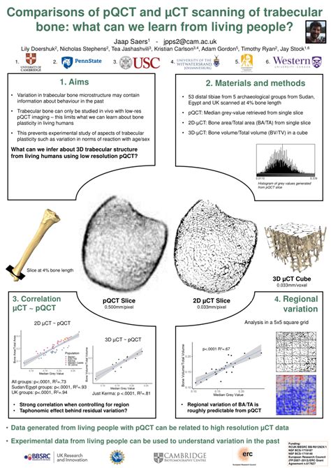 Pdf Comparisons Of Pqct And µct Scanning Of Trabecular Bone What Can We Learn From Living People