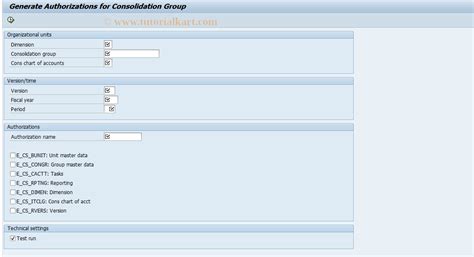 CXB SAP Tcode Generate Authorizations For CGs