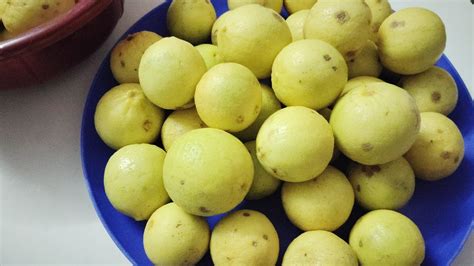 எலுமிச்சை🍋🍋🍋 பழம் ஊறுகாய் தாளித்தல் வாங்க எப்படி பார்க்கலாம் Youtube