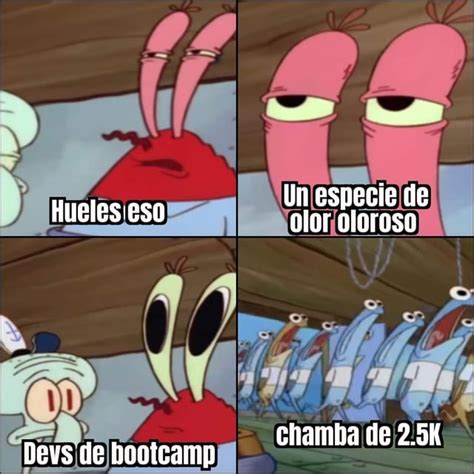 Docentes De Argentina O Recién Recibidos Se Arrepienten De Haber