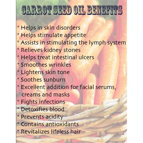 Carrot Seed Oil Organic Carrier Cold Pressed Premium Fresh 100 Pure 7