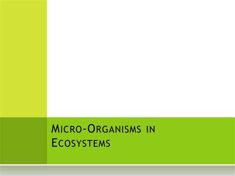 Ppt Micro Organisms In Ecosystems Powerpoint Presentation Free