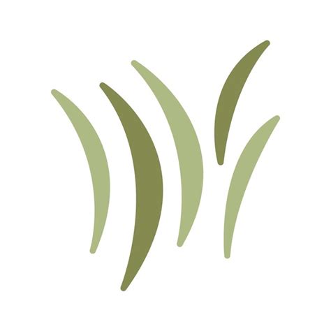 Premium Vector Green Grass Leaves On A White Background