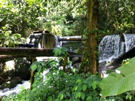 Strategi Revitalisasi Jaringan Air Minum Di Kec Pemenang Kec Tanjung Dan Kec Gangga