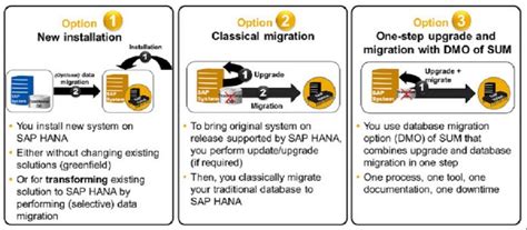 Sql Hana Migration Service In Navi Mumbai By Leaping Frog Consulting Private Limited Id