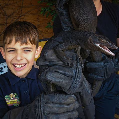 Clem Kouijzer On Linkedin Melanisticmonday