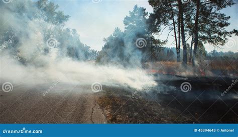Burning Dry Grass Stock Image Image Of Locations Land 45394643