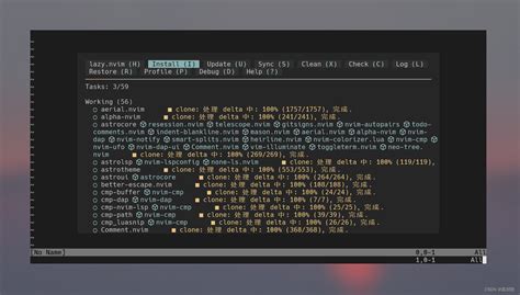 开发环境分享——astronvim（neovim的下载和astronvim的配置） csdn博客
