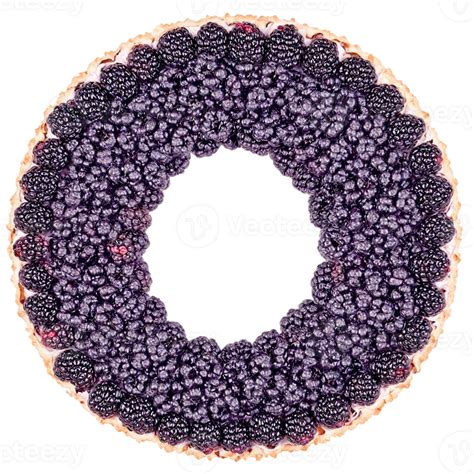 Séché La Mûre Mandala Foncé Violet Séché Mûres En Couches Dans Un