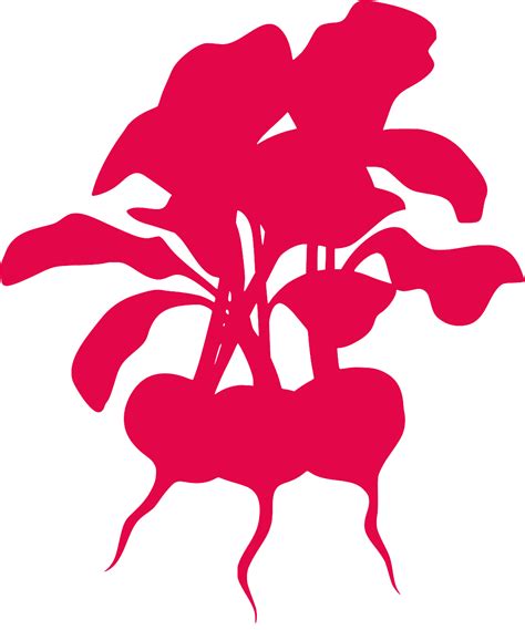Svg الخضروات طعام الخام فيتامين صورة Svg And أيقونة Svg Silh