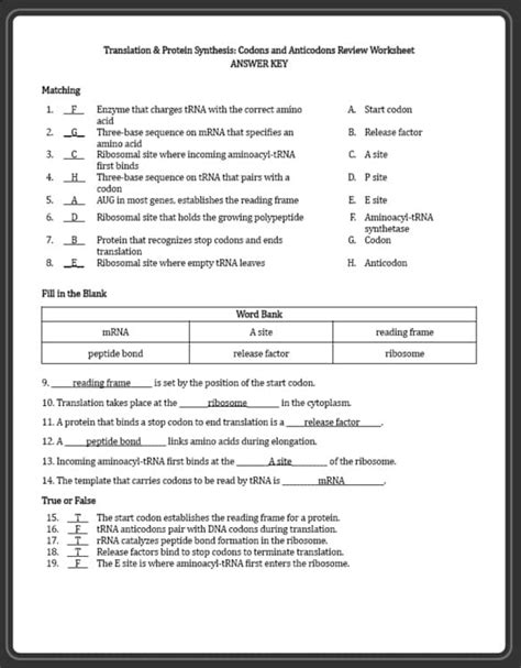 Translation And Protein Synthesis Codons And Anticodons Review Worksheet