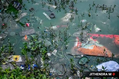 Lakes Of Bengaluru Constant Flow Of Sewage Into Haralur Lake Causes