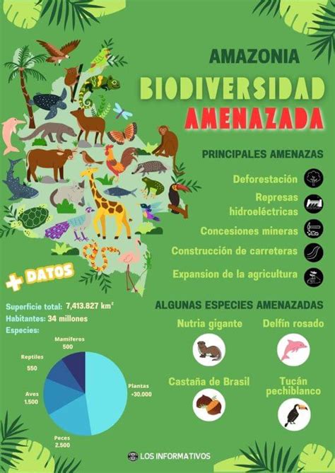 Infografía Sobre La Biodiversidad Y Amenazas A La Amazonia