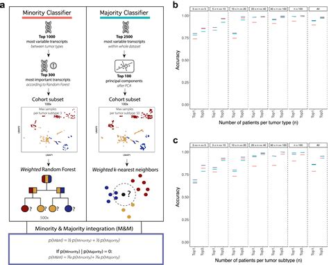 Mandm An Rna Seq Based Pan Cancer Classifier For Paediatric Tumours Rna Seq Blog