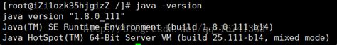 阿里云centos部署java Web项目步骤hkail的博客 Csdn博客