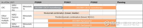 Ds 8201中国申报上市 2022年3月21日，第一三共her2 Adc新药trastuzumab Deruxtecan（ds 8201）的