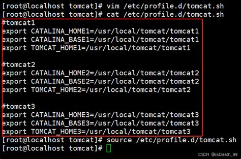 Tomcat多实例 Csdn博客