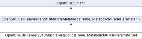 API OpenSim Umberger2010MuscleMetabolicsProbe