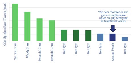 Forests To Offset Co2 Uptake Rates By Tree Type Thunder Said Energy