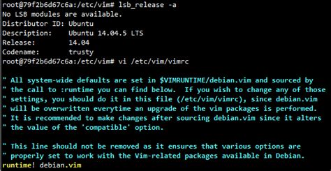Vim 使用的一些小技巧 个人技术空间