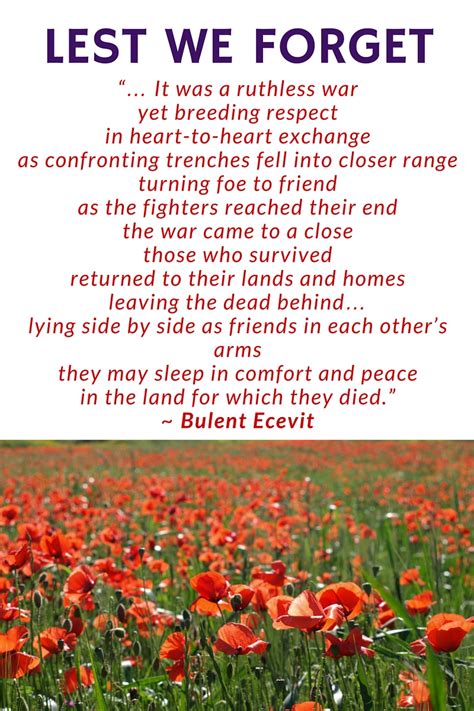 Remembering The Anzacs Johanna Baker Dowdell