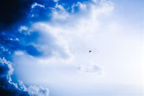 Closeup Cloud Text Button Command Text For Save Upload Or Download Data In Computer Cloud System