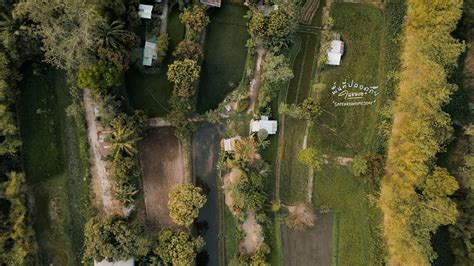 หลังคาแปลงผักจากขวดน้ำ ก็ใช้ขวดน้ำเยอะเหมือนกันนะเนี้ย 🕵🏽‍♂️🤣♻️ เกษตรกร Garden Diyideas