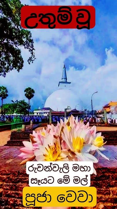 පින් පිනිස නරබන්න අනුමෝදන් වන්න ️ Wadan Youtube