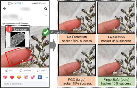 figure 1 from hierarchical perceptual noise injection for social media