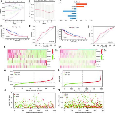 Construction And Validation Of The M6a Related Lncrna Risk Score Model