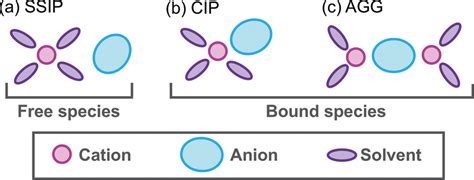 Schematic Representations For A Solvent‐separated Ion Pair Ssip