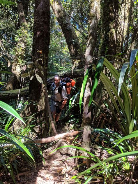 Mount Bartle Frere Trail