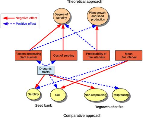 Summary Of The Results About Effects Of Intrinsic And Extrinsic Factors