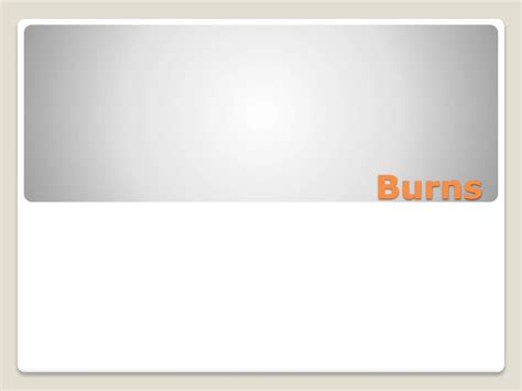 Ppt Burns Powerpoint Presentation Free Download Id8156859