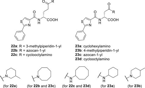 Synthesized Derivatives Of 20c And 21c Download Scientific Diagram