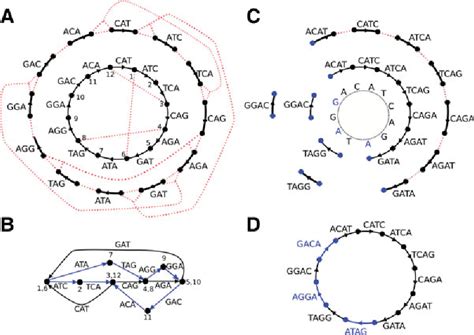[pdf] Spades A New Genome Assembly Algorithm And Its Applications To Single Cell Sequencing