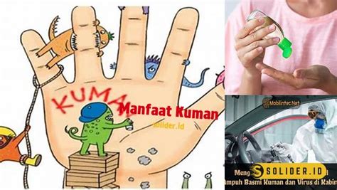 Manfaat Kuman Yang Wajib Anda Ketahui Temukan Rahasia Alam Yang