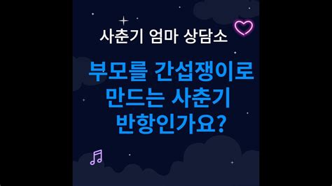 사춘기 고민 부모를 간섭쟁이로 만드는 아이 내가할게라고 주장하는 사춘기사춘기의 반항 초등 사춘기 초등학교중학생
