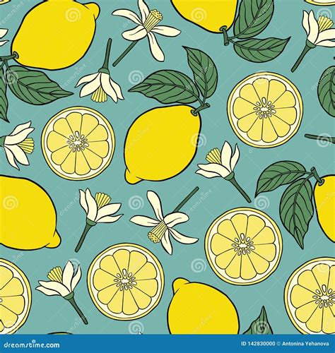 Modelo Incons til De Los Limones Con Las Hojas Y Las Flores Ilustración