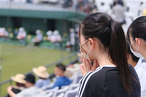 ピンチ GANREF