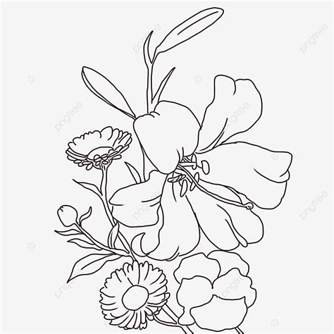 最も人気のある！ 花 線画 素材 841012 花 線画 素材 フリー