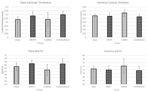 Bioengineering Special Issue Musculoskeletal Disorders And Diseases