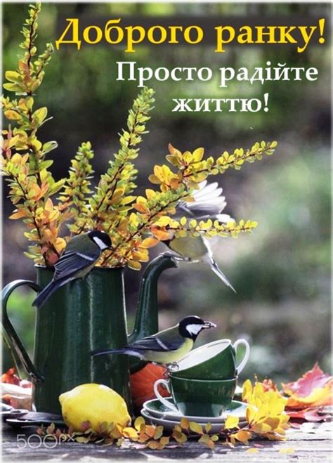 Доброго ранку українською гарного дня Ранкові цитати осінь